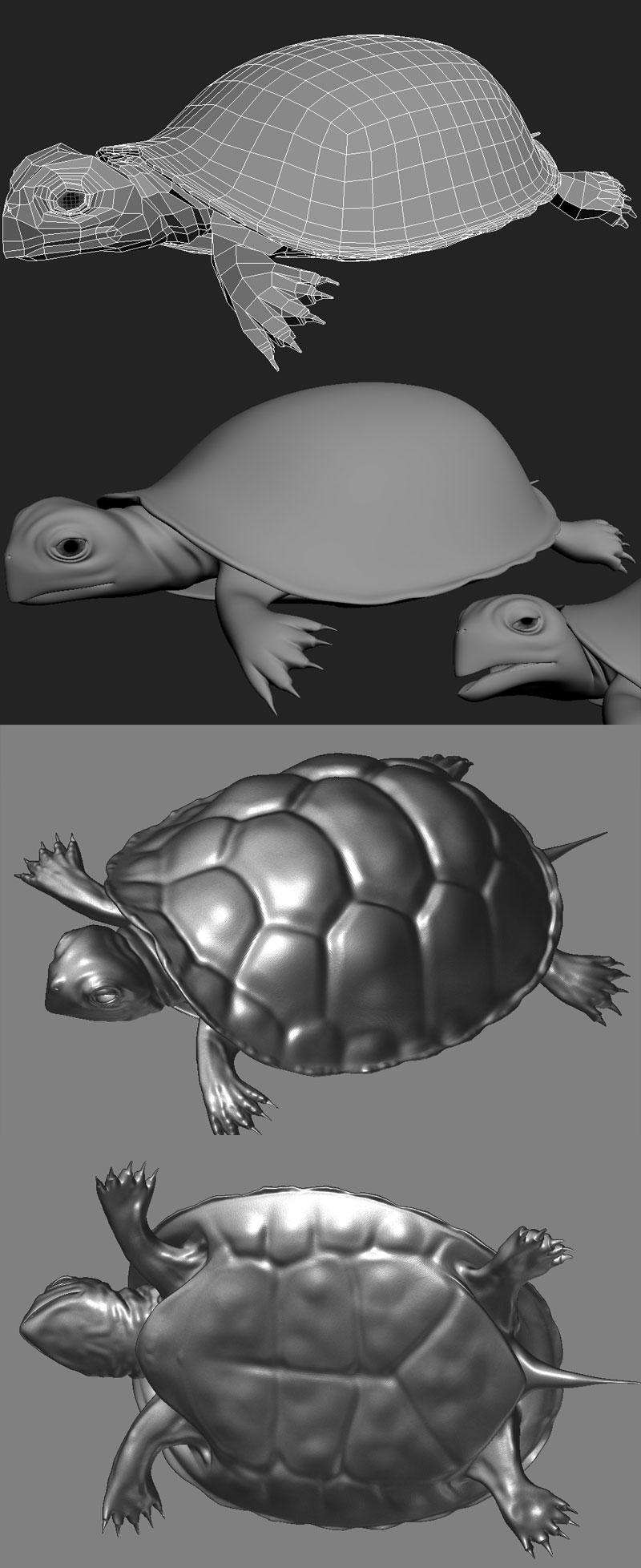 3d turtle 2 - Dystalgia - Aurel Manea Photography (Aurel Manega)