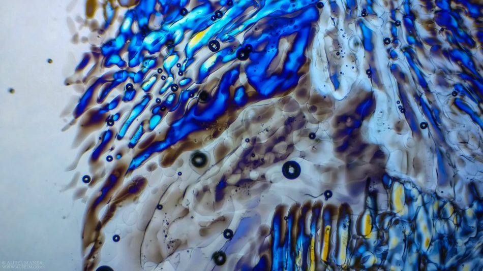 Gallery Ice crystals under polarized light microscope 16 - Dystalgia ...