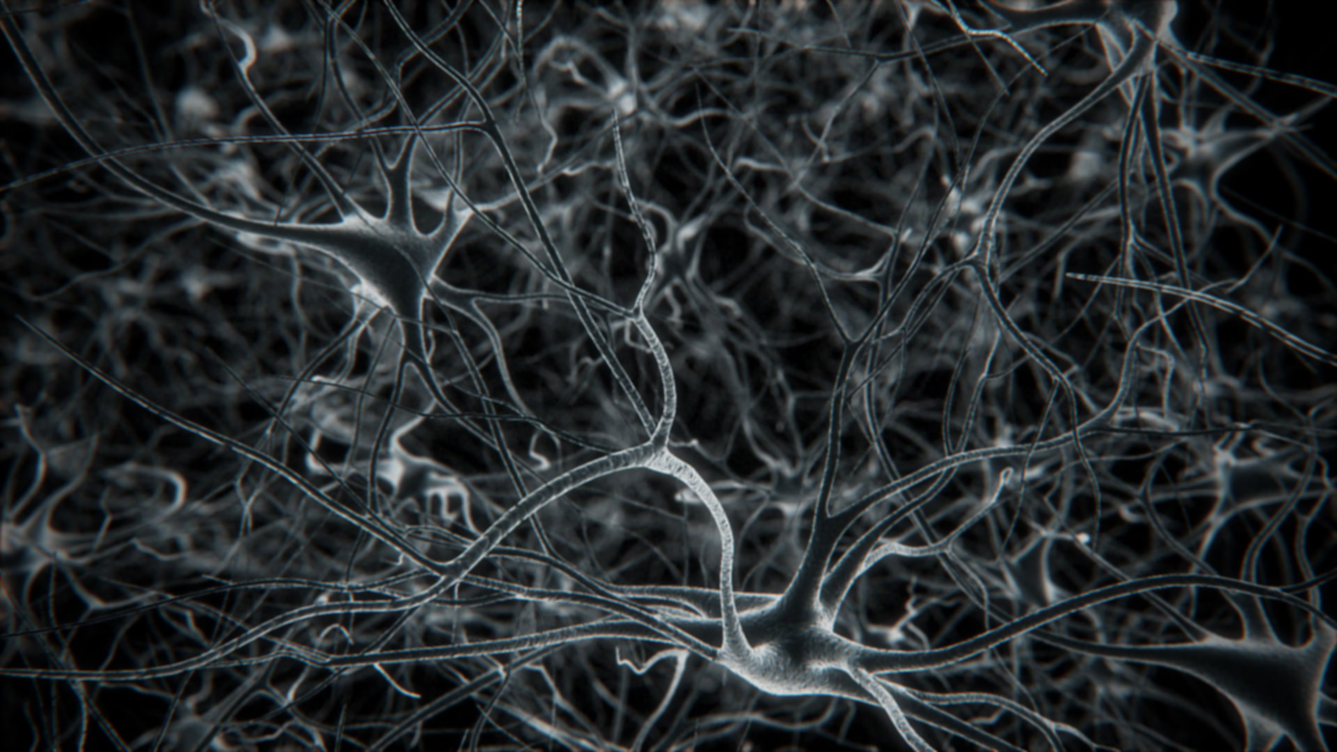 parallax neurons 01 - Dystalgia - Aurel Manea Photography (Aurel Manega)