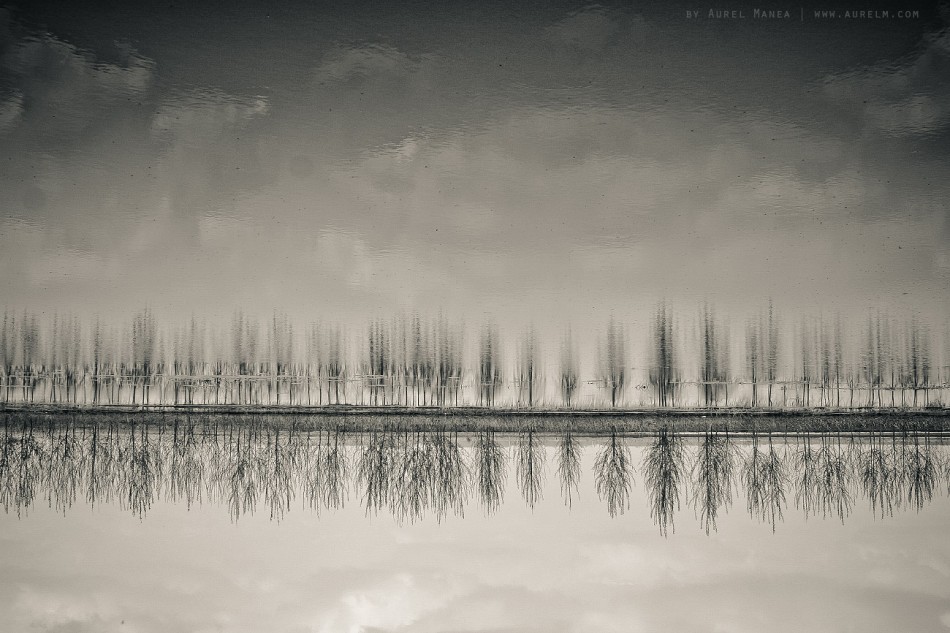upside down landscape 02 - Dystalgia - Aurel Manea Photography